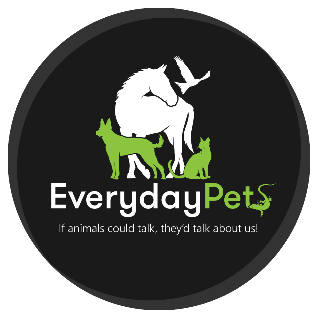 About Everyday Pets - Everyday Pets - If your pet could talk, they ...
